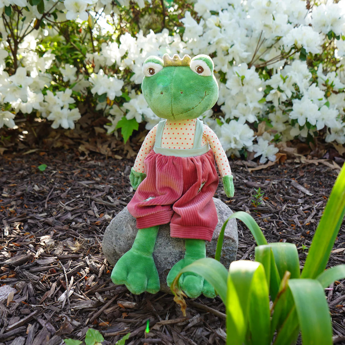 Prince the Frog – Bench Home